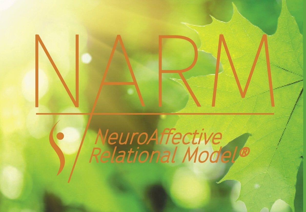 NARM - NeuroAffektiv relasjonell modell - RVTS Nord